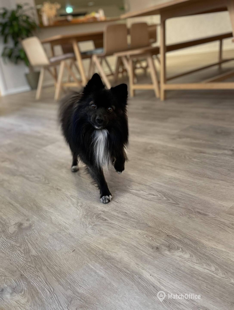 Mässans Gata 10 — The Best Business Centers for Rent in Göteborg ...